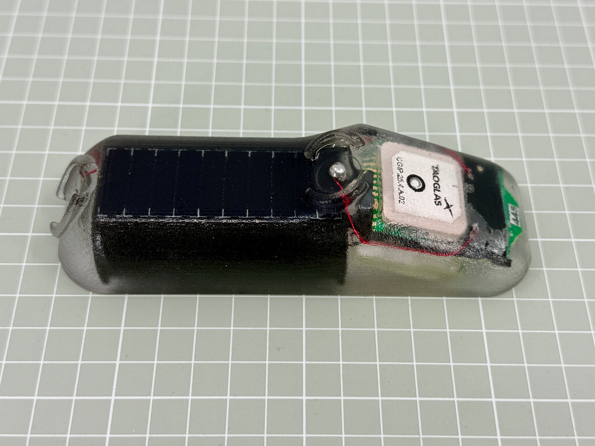 Sea Turtle Tracker – Cellular Tracking Technologies