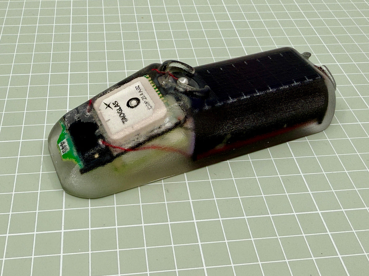 Sea Turtle Tracker – Cellular Tracking Technologies